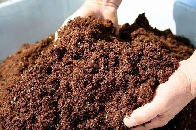 Multi-purpose clean soil – An optimal solution for sustainable plant ...